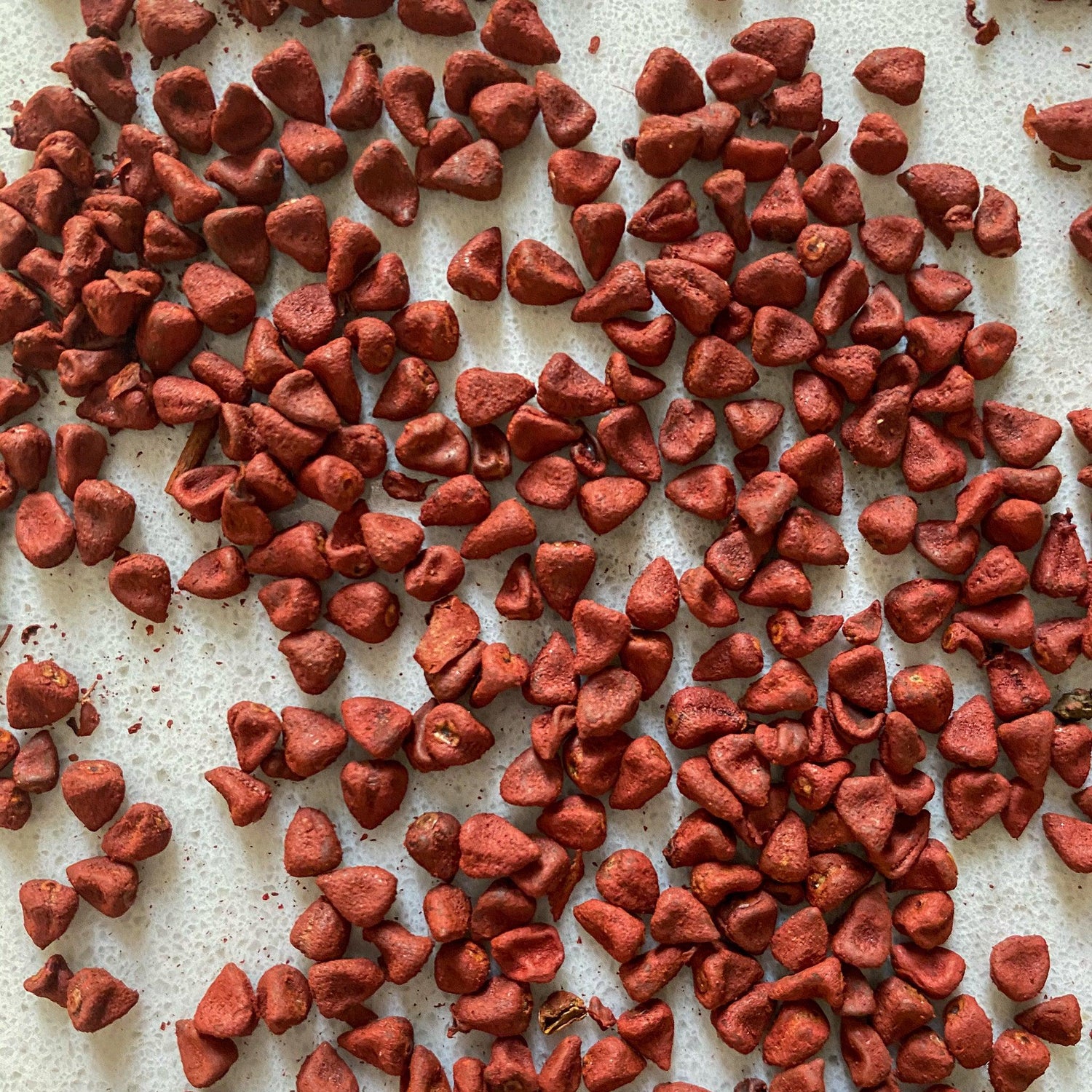 Spices & Herbs – SKORDO