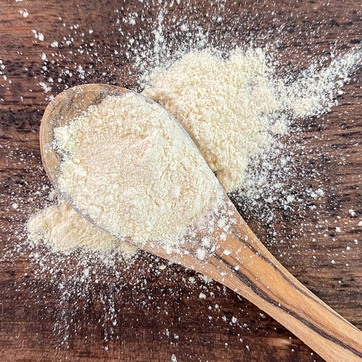 Garlic - Powder | SKORDO Spices