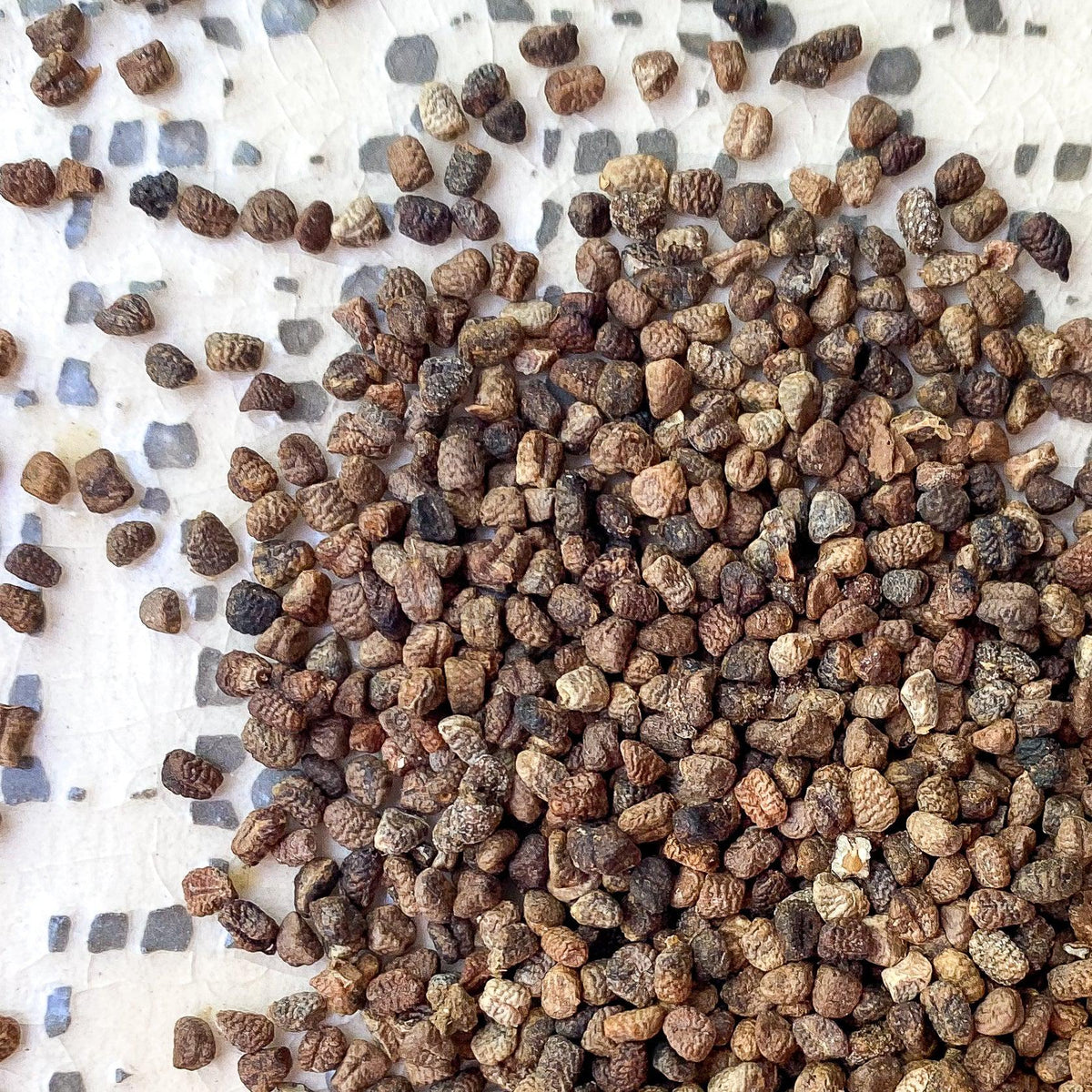 Cardamom Seeds | SKORDO Spices